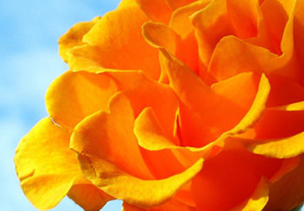 Barbara Flaherty – Gibbons Family Funeral Home