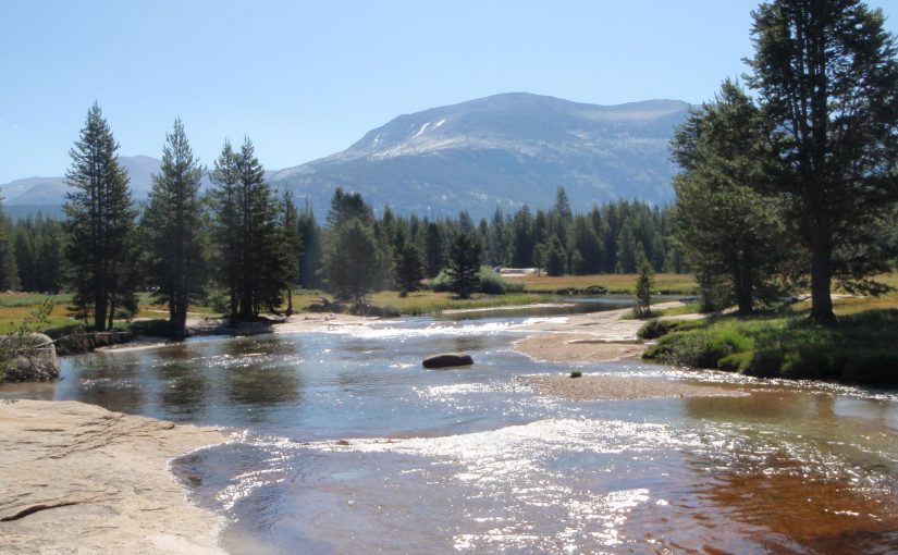 Patrick Kearns – Gibbons Family Funeral Home